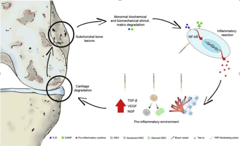 iO-Core Science | iO-Core
